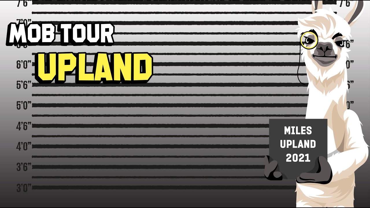 The Official Upland Chicago Mob Tour LIVE - YouTube