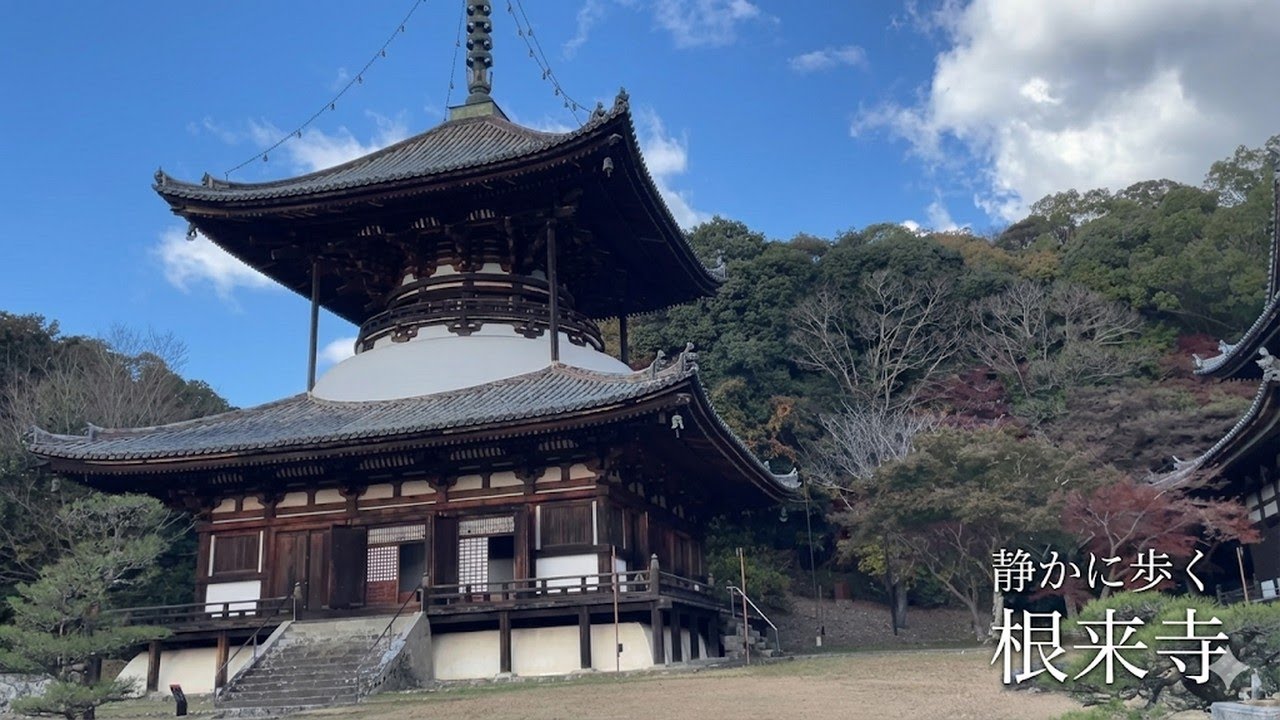 秋の根来寺を歩く｜Walking through Negoro-ji in Autumn - YouTube