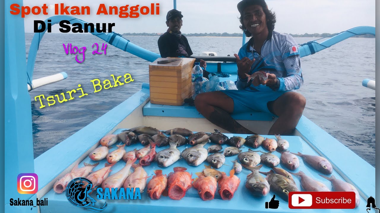 Spot ikan anggoli di pantai sanur - YouTube