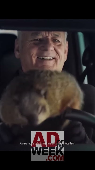 Jeep Commercial 2020 Super Bowl Bill Murray Groundhog Day - YouTube