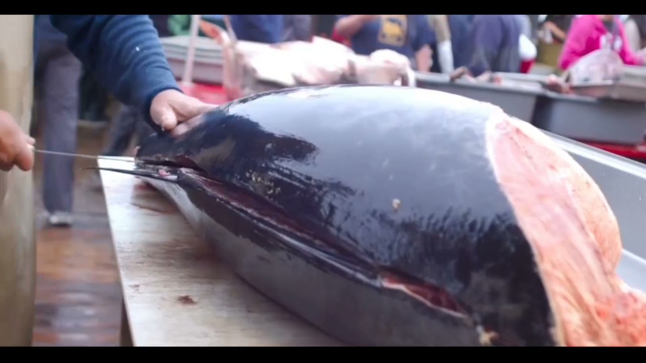 Fish slaughter | women slaughter | slaughter women - YouTube