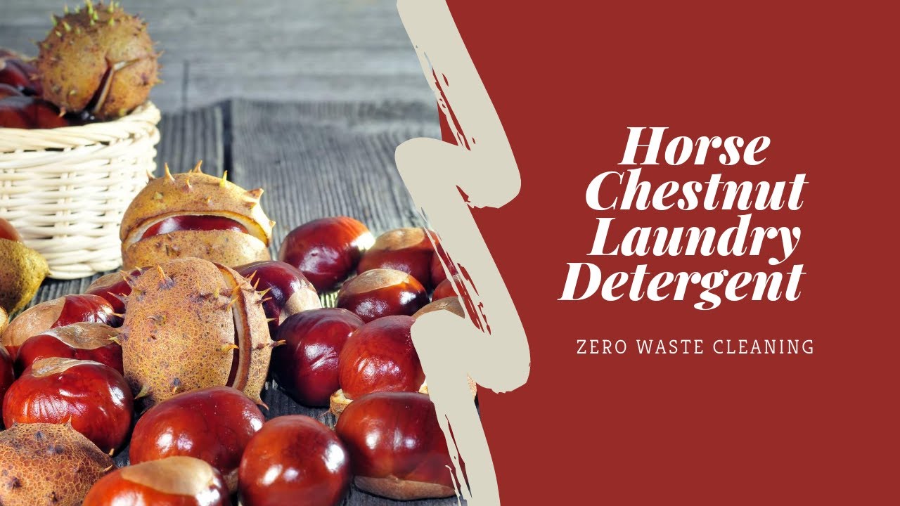 Horse Chestnut Laundry Detergent DIY 🌰 - YouTube