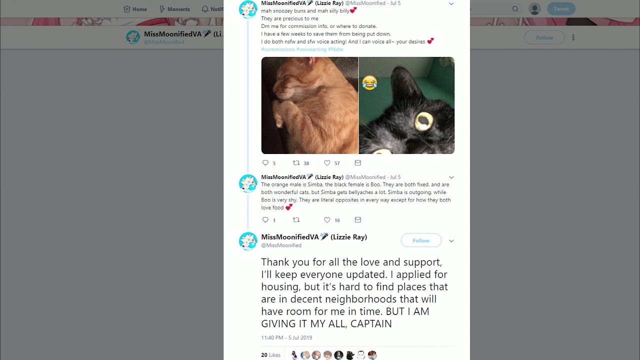 Help Save MissMoonified's Cats - YouTube