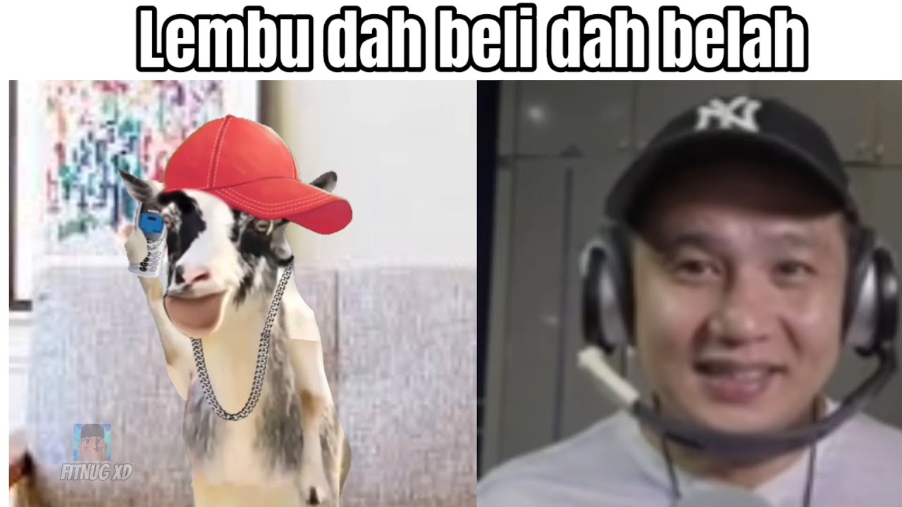 lembu dah beli dah belah 🐄... - meme random - YouTube