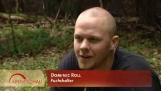 Dominic Roll's Instagram, Twitter & Facebook on IDCrawl