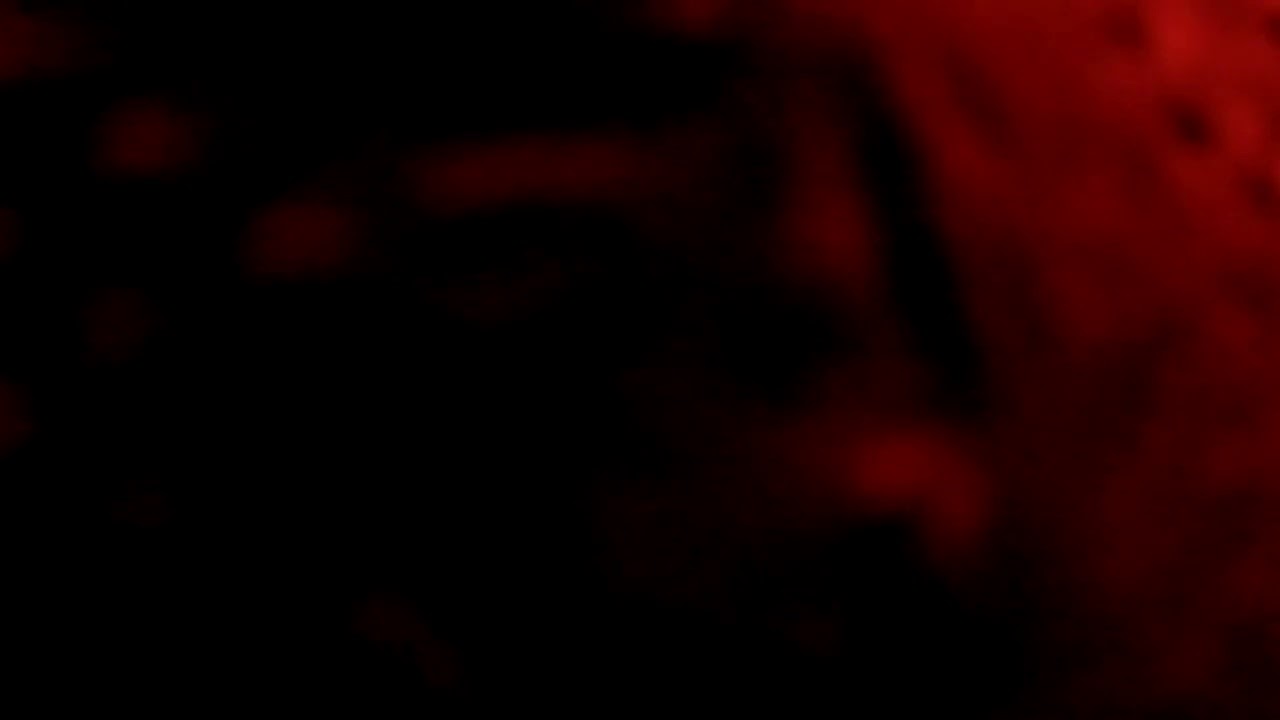 2/28/2020 - YouTube