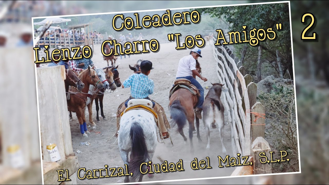 Coleadero 09/Junio/2023 Lienzo Charro "Los Amigos" desde el Carrizal ...