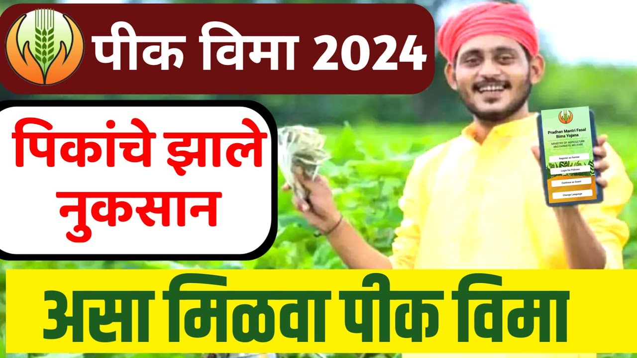 pik vima claim 2024 || pik vima takrar kashi karaychi 2024 || crop ...