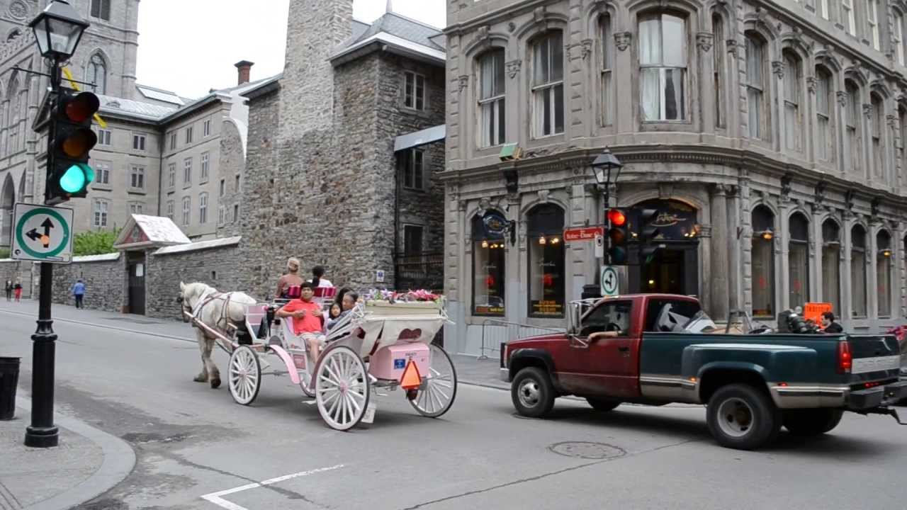 OLD MONTREAL STREET SCENE - CALECHE / HANDSOME CAB - YouTube