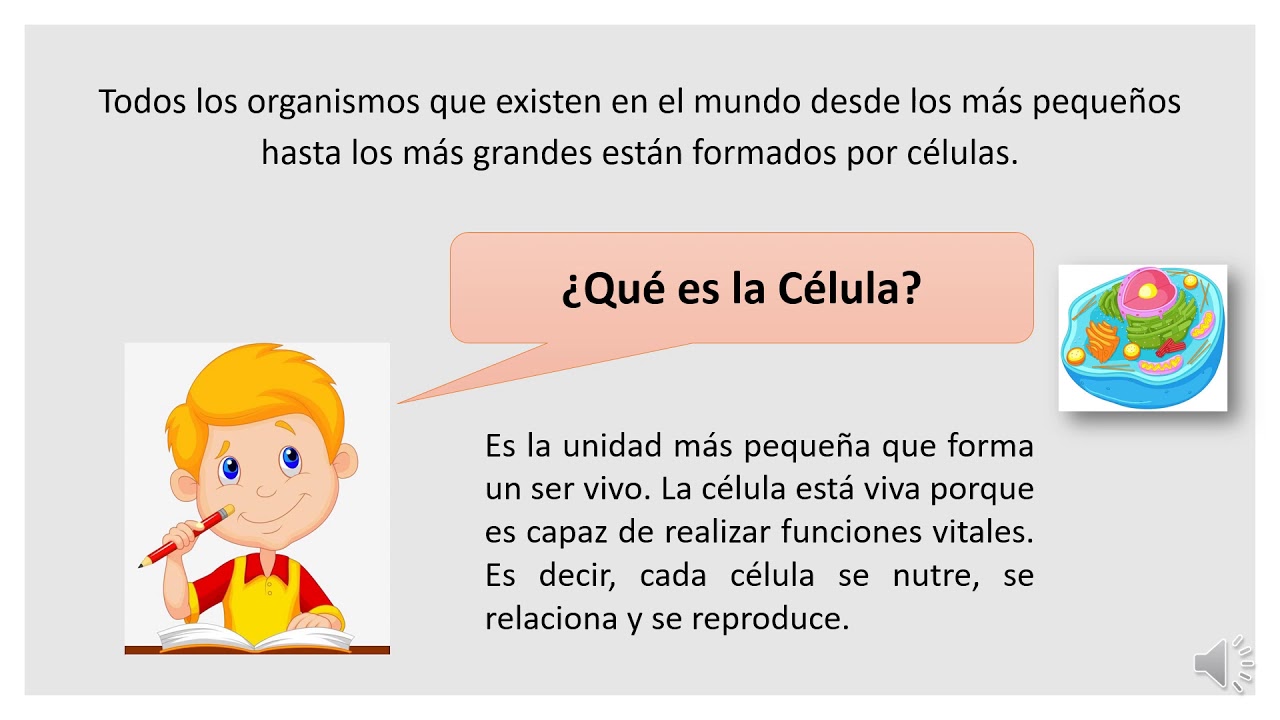 La CÉlula 5to Grado Primaria Ciencia Youtube