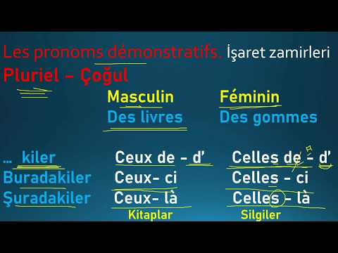 Les pronoms démonstratifs -  İşaret zamirleri