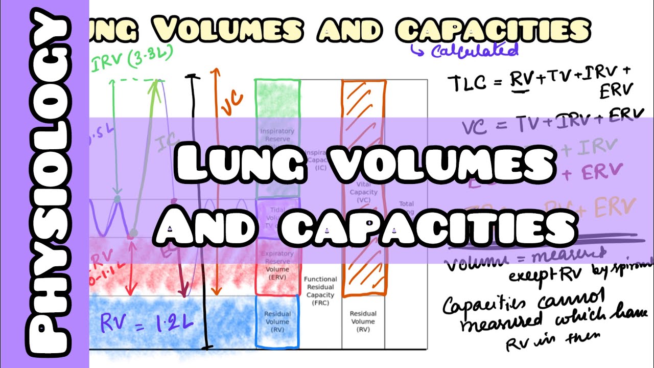Lung volumes and Lung capacities made easy for USMLE, NEET PG, NCLEX ...