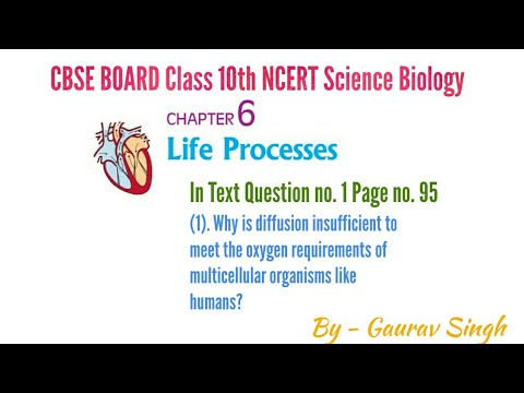 CBSE BOARD Class 10th Science - Biology Chapter 6 Life Processes InText ...