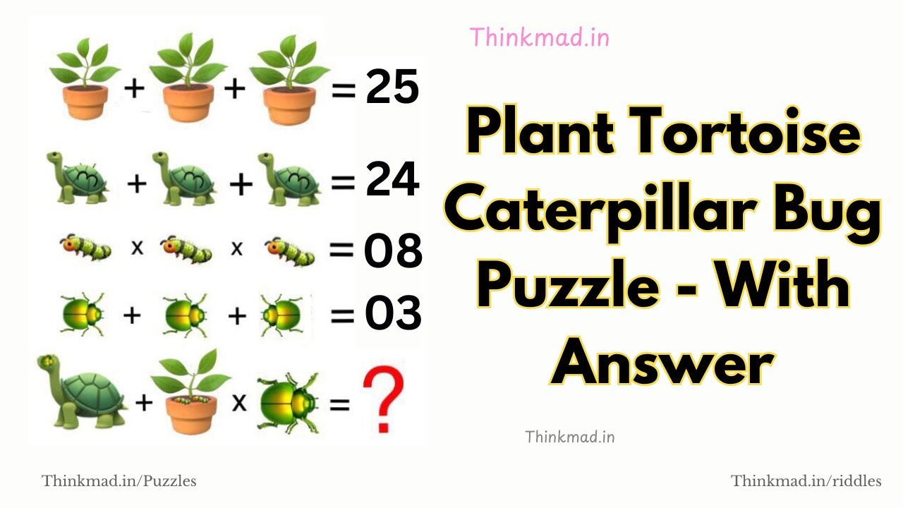 Plant Tortoise Caterpillar Bug Puzzle With Answer | Maths riddle - YouTube