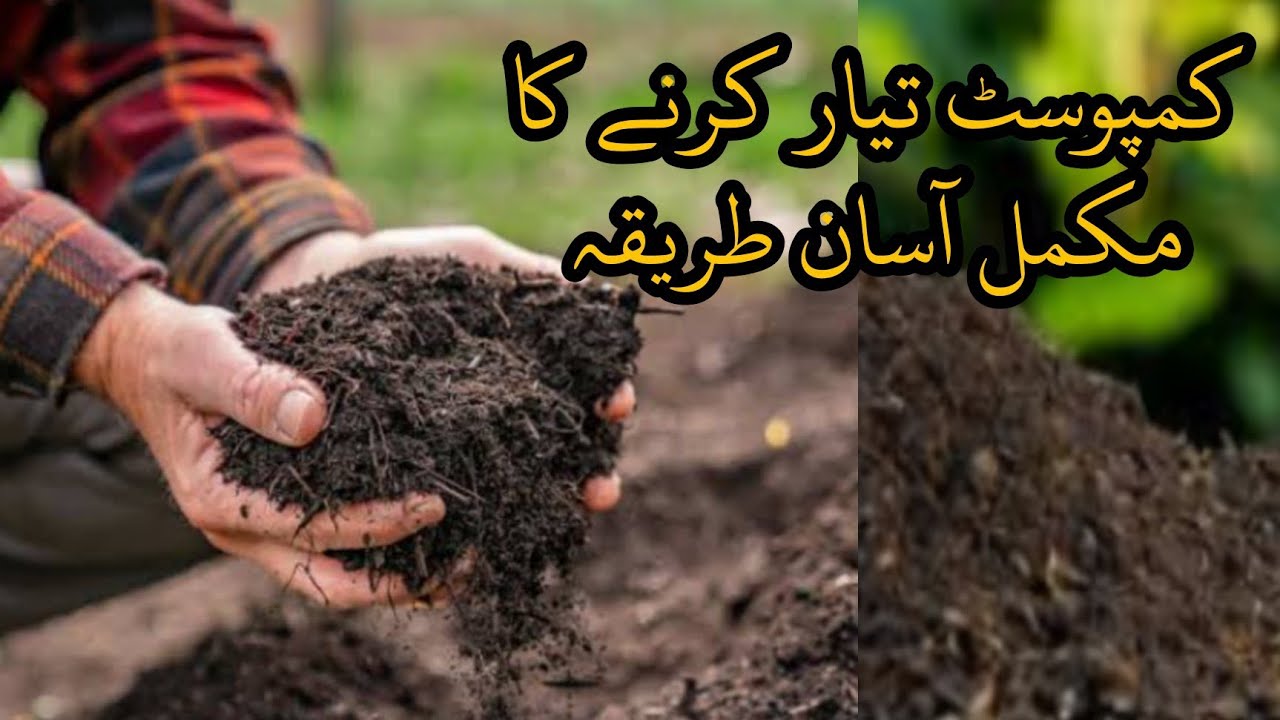Preparing fast compost | compost from goat manure | GOAT MANURE IS NPK ...