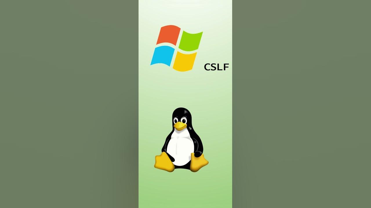 Lf Vs Cslf Computerknowledge Coder Python Programming Technology Macos Linux Os Vscode