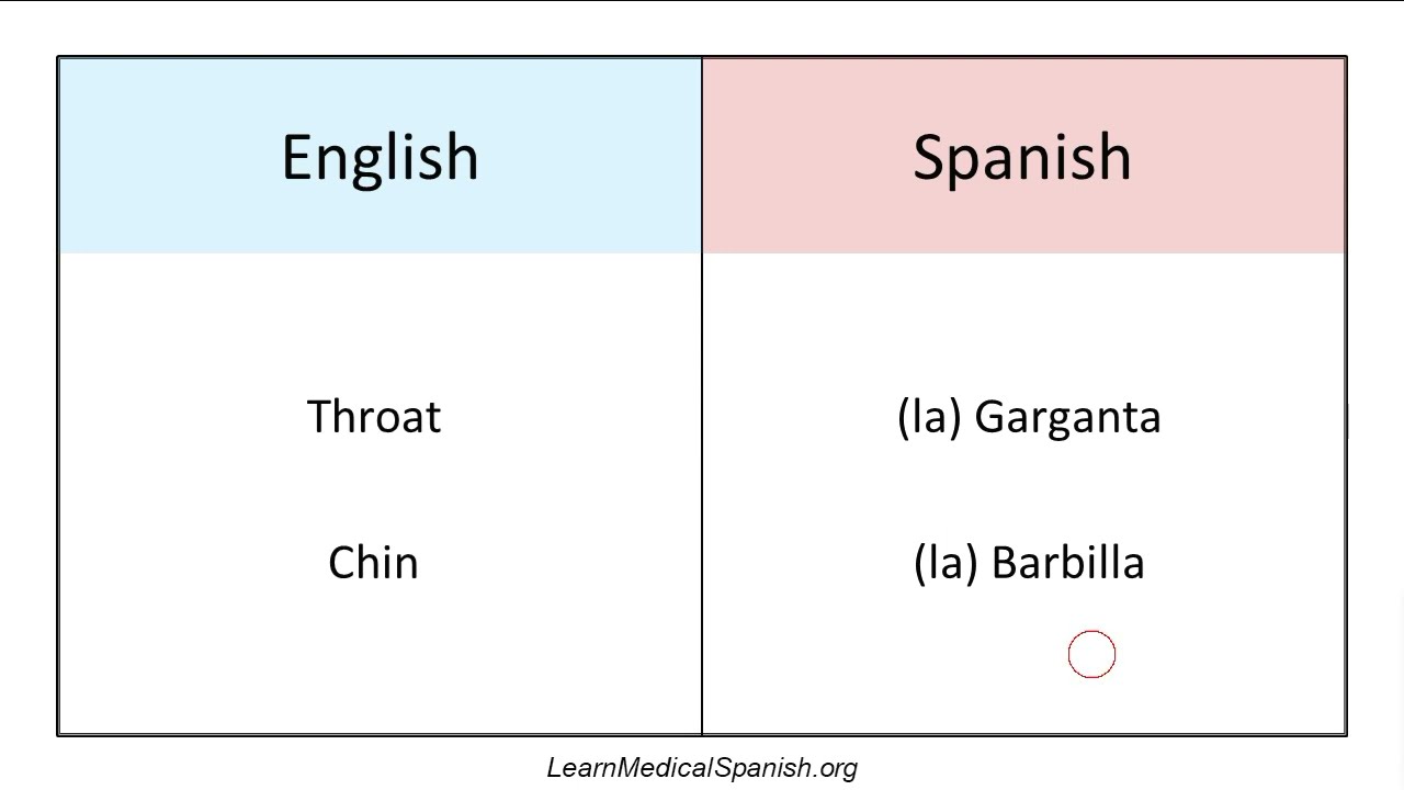 Spanish Anatomy - Head & Face - YouTube