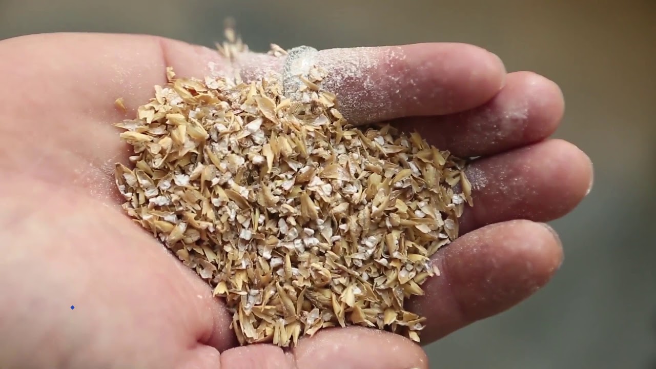 Big Rock Traditional Ale - YouTube