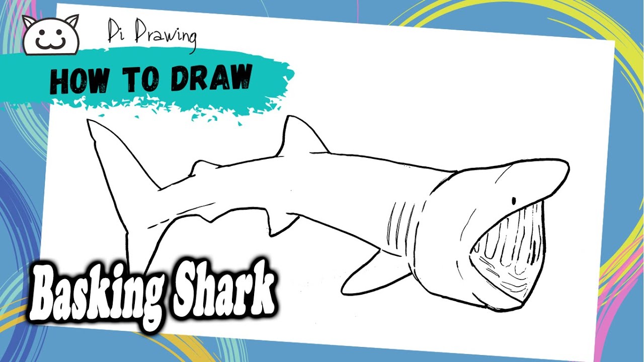 How to Draw Basking Shark - YouTube