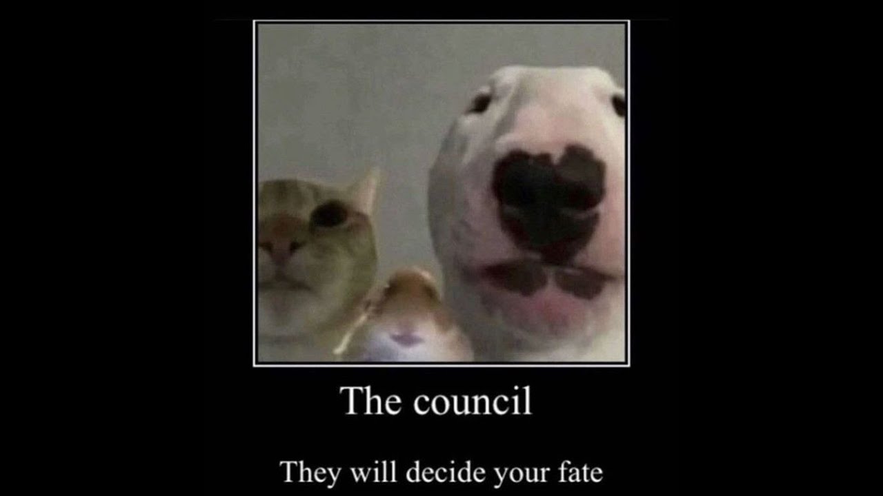 Lore accurate NCR Ranger - YouTube