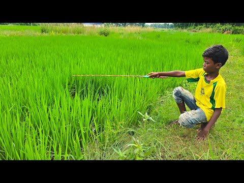 Fishing video 2026 ✅ || The smart boy fishing happily in the beautiful paddy field || Best hook trap