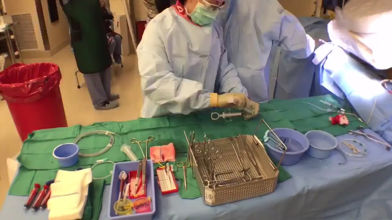 Interventional CRT: BIV in 30 Seconds - YouTube