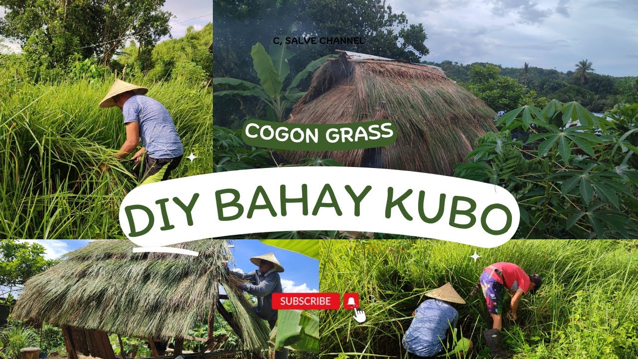 DIY kubo na gawa sa Cogon grass - YouTube
