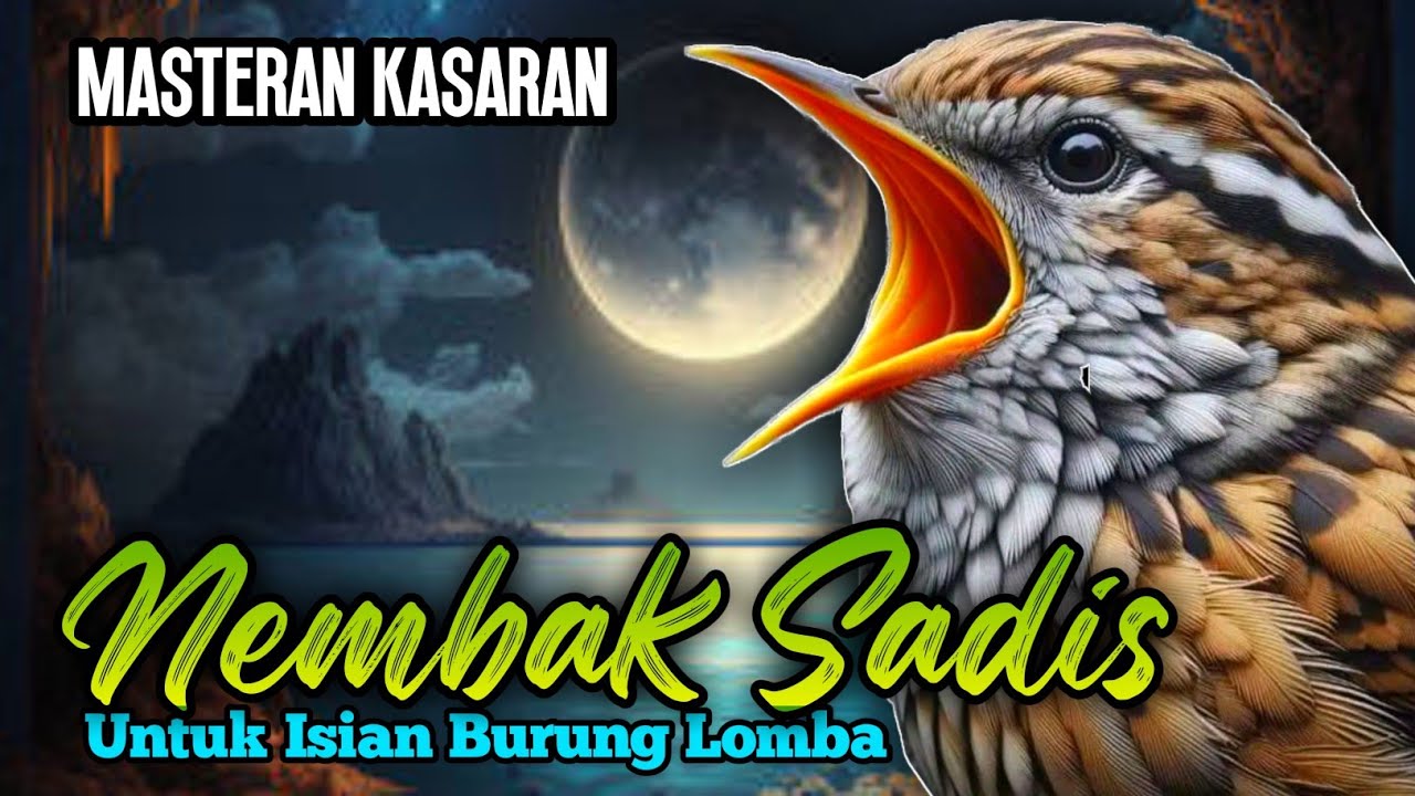 MASTERAN KASARAN Nembak Tajam Untuk Materi Murai Batu Full Isian ...