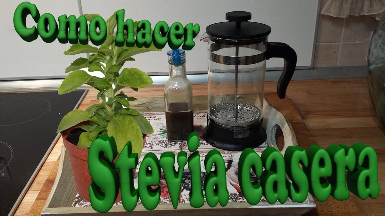 Como hacer Stevia liquida casera, y que se conserve bien!! - YouTube