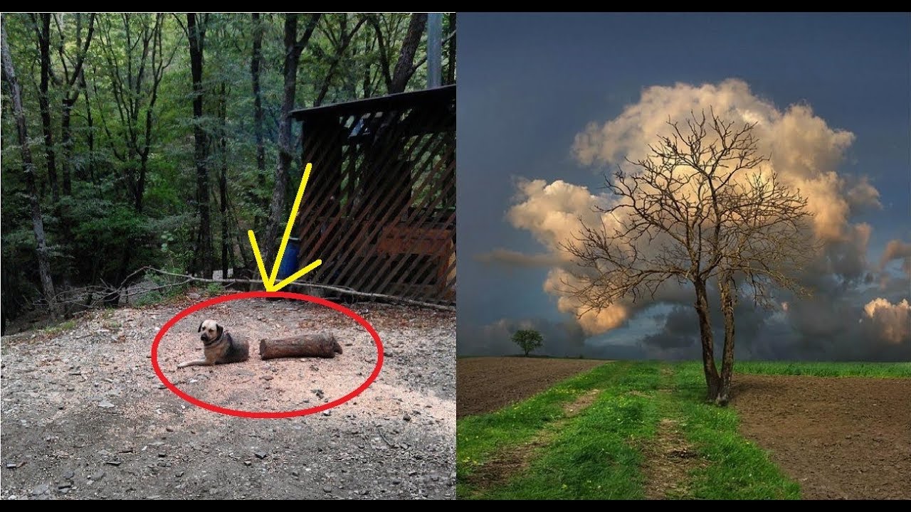 Unusual Photos You Have to Look at Twice - YouTube