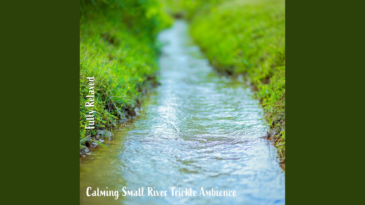 Calming Small River Trickle Ambience, Pt. 4 - YouTube