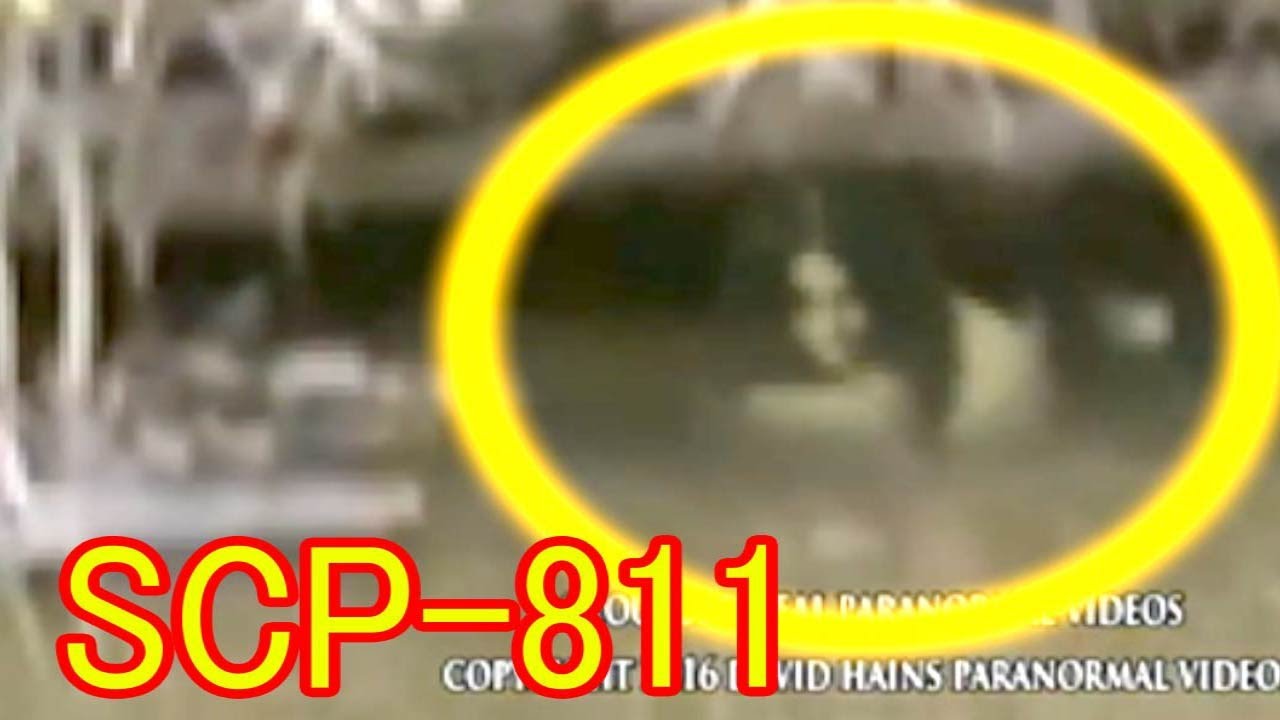 SCP-811 Swamp Women In Real Life Sighting (SCP Animated) - YouTube
