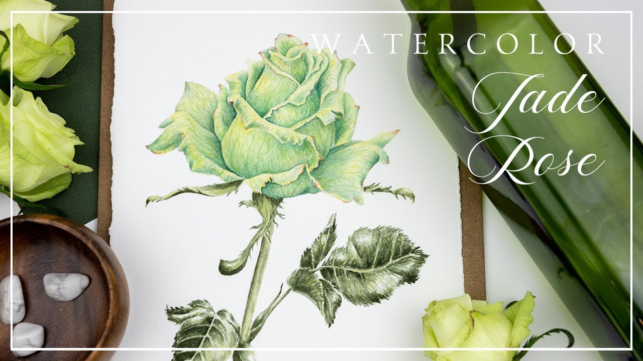 Jade Rose // Watercolor Painting Timelapse - YouTube