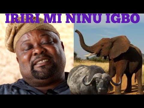 IRIRI MI NINU IGBO AGIJU,LOJO TI MOPA ERIN ATI EFON. - YouTube