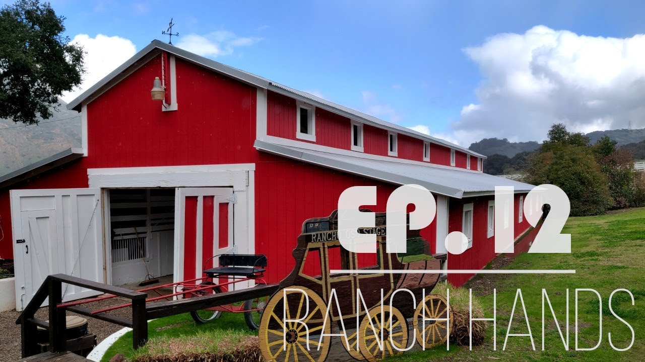 Ep. 12 - How to Properly Enjoy a Ranch - YouTube