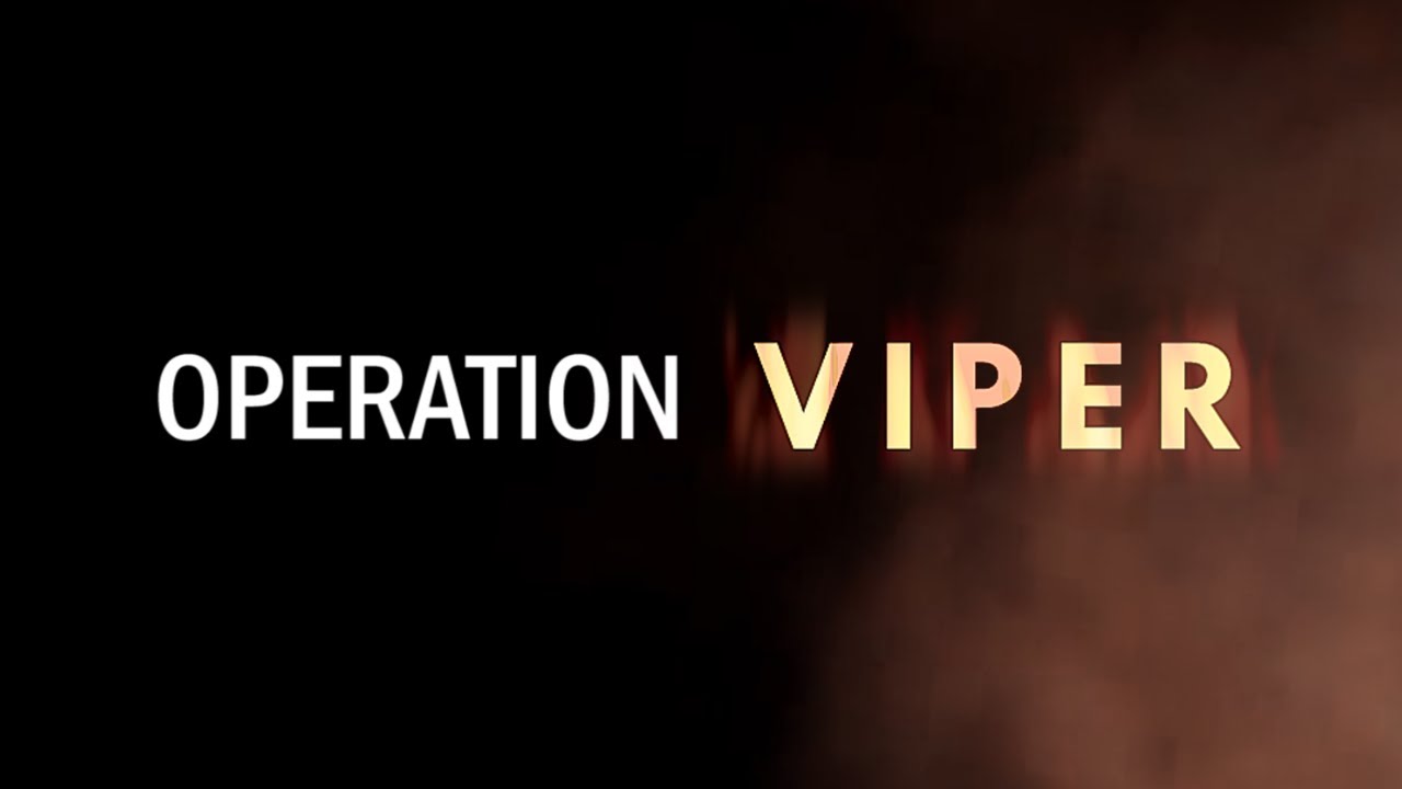 Blackhawk Rescue Mission 5 Operation Viper Reveal - YouTube