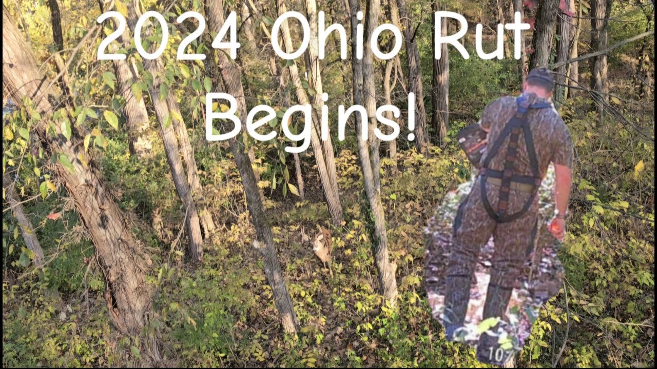 S2E3: 2024 Rut Has Started! | Ohio Deer Hunting | Bow Hunting - YouTube