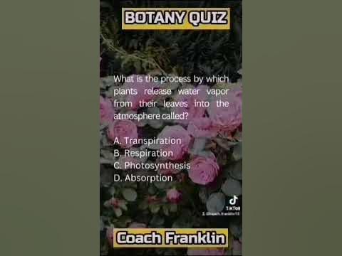 SCIENCE - BOTANY QUIZ - YouTube