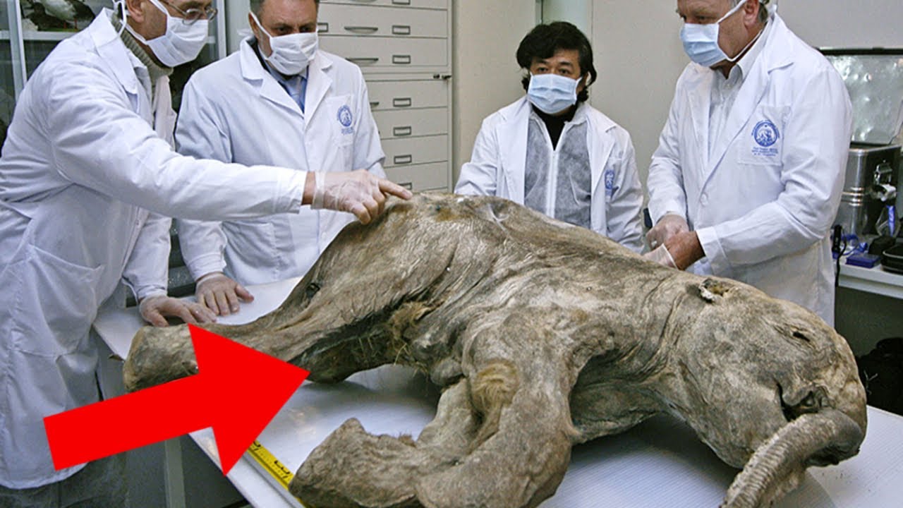 CE ANIMALE PREISTORICE VOR FI READUSE LA VIATA DE CATRE SAVANTI? CELE ...