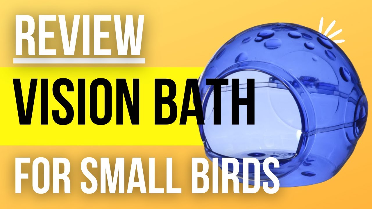 Hagen Vision Bird Bath - Unboxing and Review - YouTube