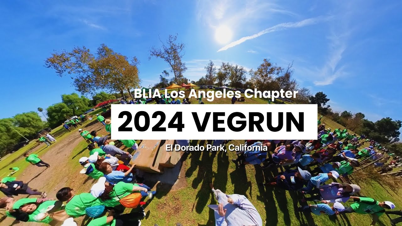 Veg Run 2024 El Dorado Park 4k QT - YouTube
