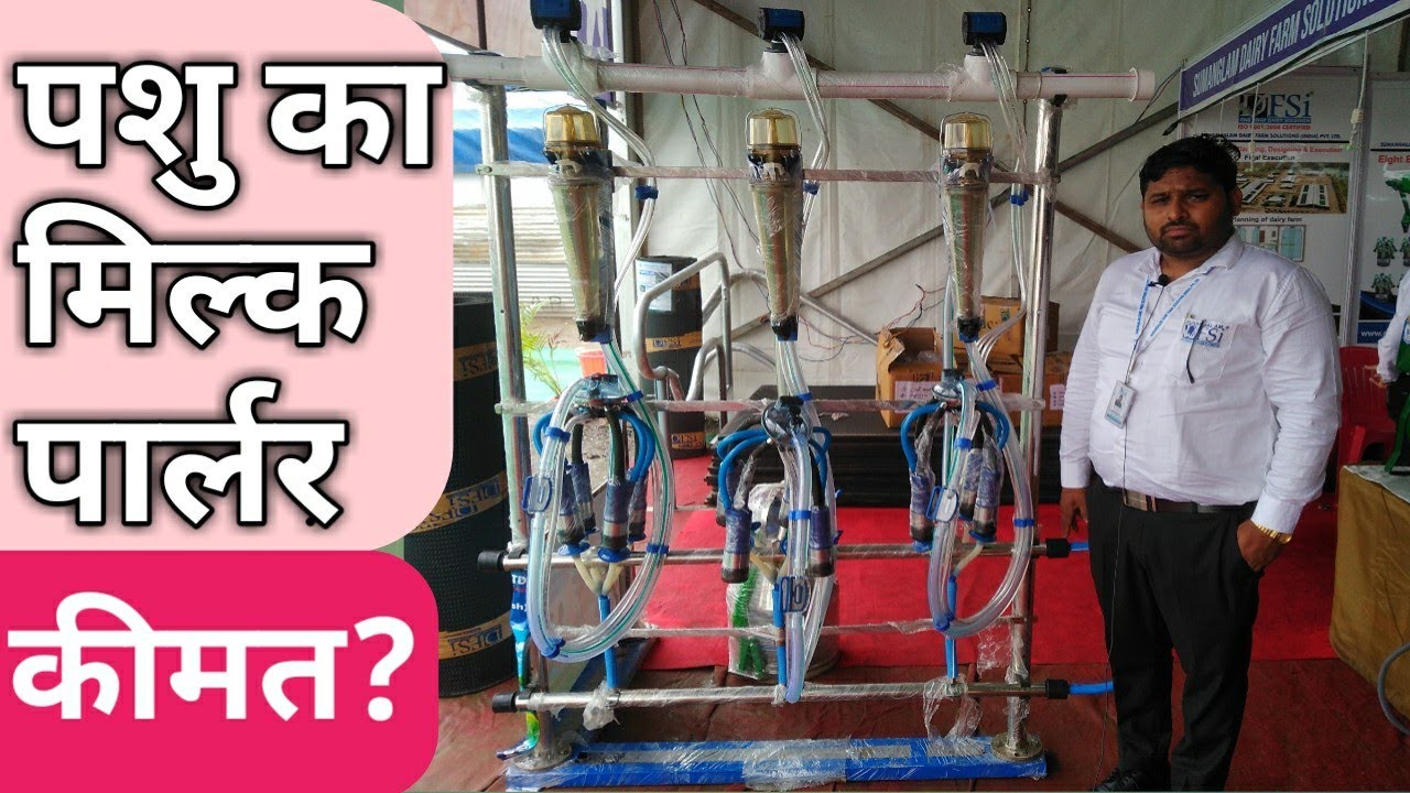 दूध निकालने का ओटोमेटिक मिल्क पार्लर । Set up a milk parlor - YouTube