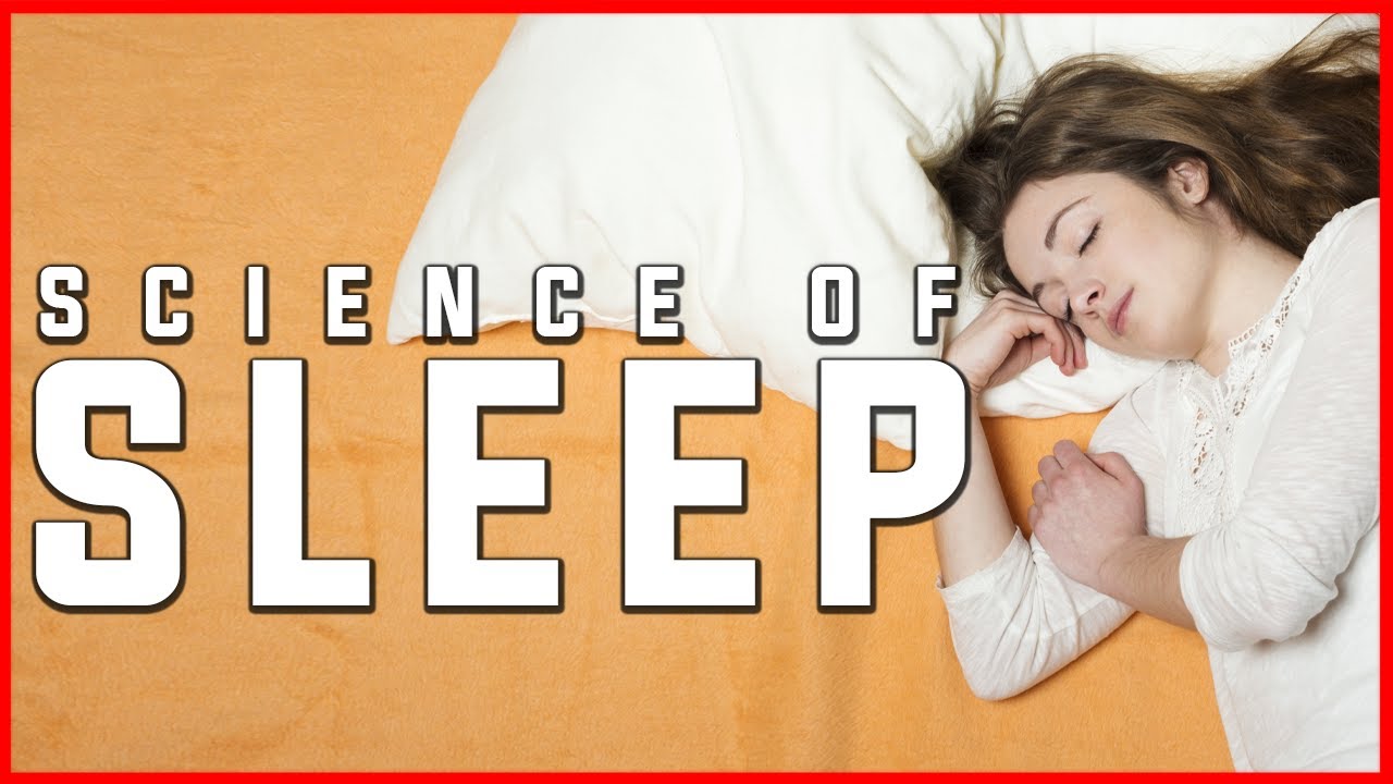 SCIENCE OF SLEEP | SLEEPING STAGES | 90 MINUTES RULE OF SLEEPIN ...