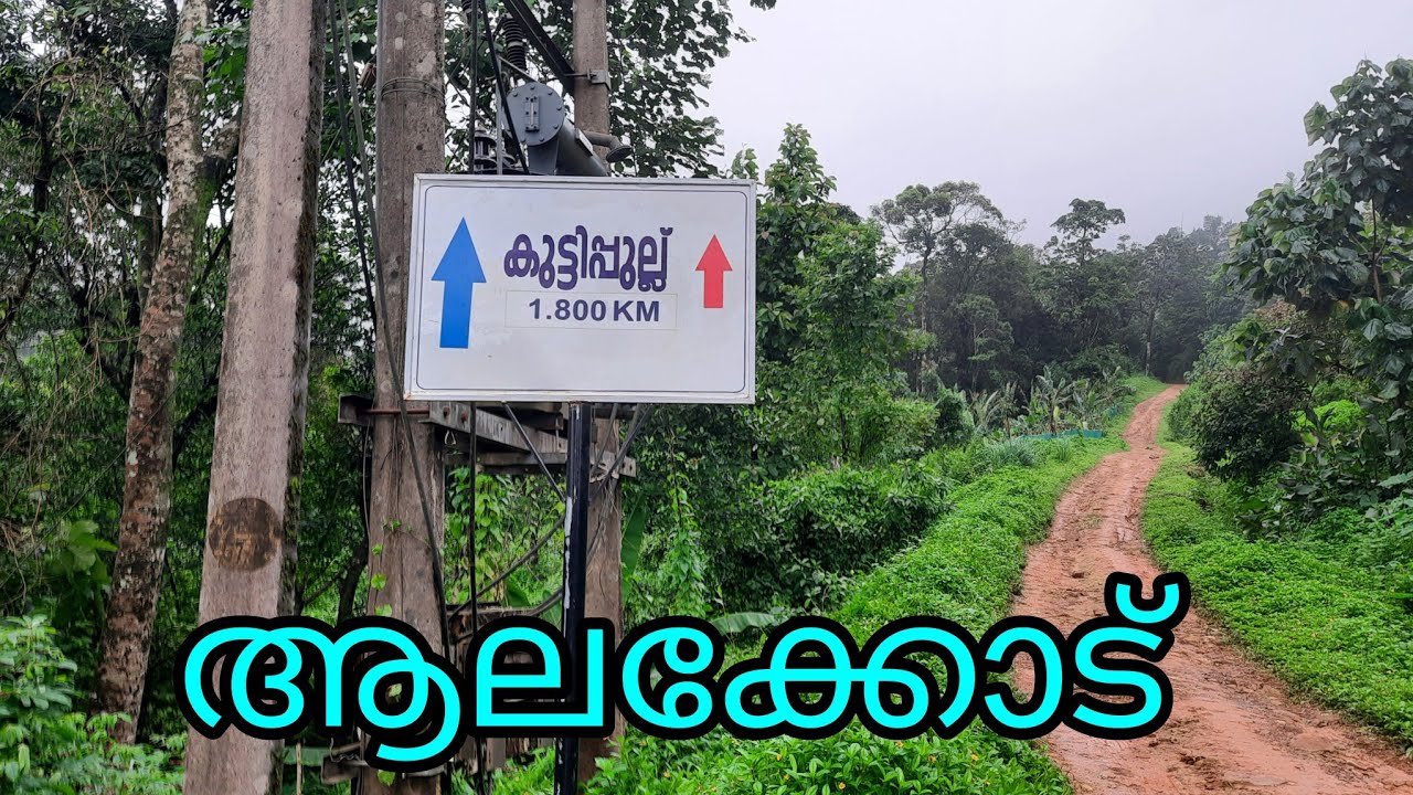#alakode# കുട്ടിപ്പുല്ല് ആലക്കോട് - YouTube