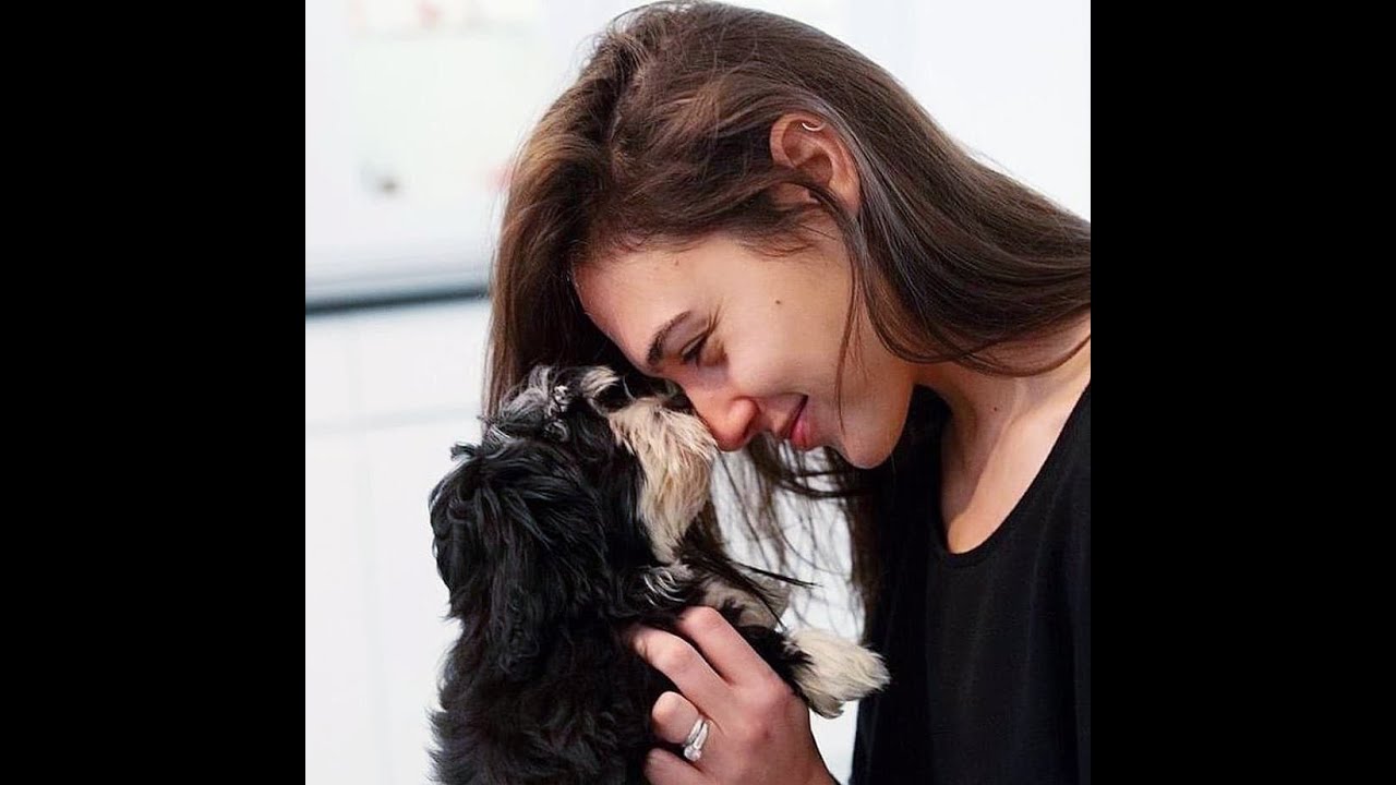 Gal Gadot Pet Lover|Wonder Woman|Animal Lover|Gal Gadot Playing With ...