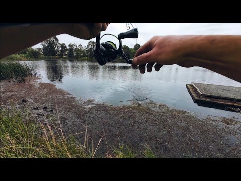 Catch YOUR first FISH on LURE the EASY way || FISHING SYDNEY - YouTube