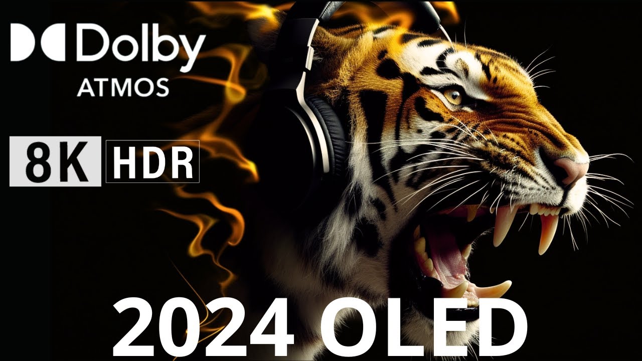 Special OLED Demo. Qled, LG, Samsung, LED, Sony, THX, DLP Intros, 8k ...