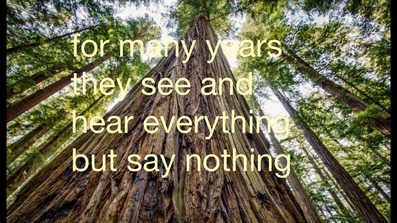 The all seeing tree #surrealism #modern jazz - YouTube