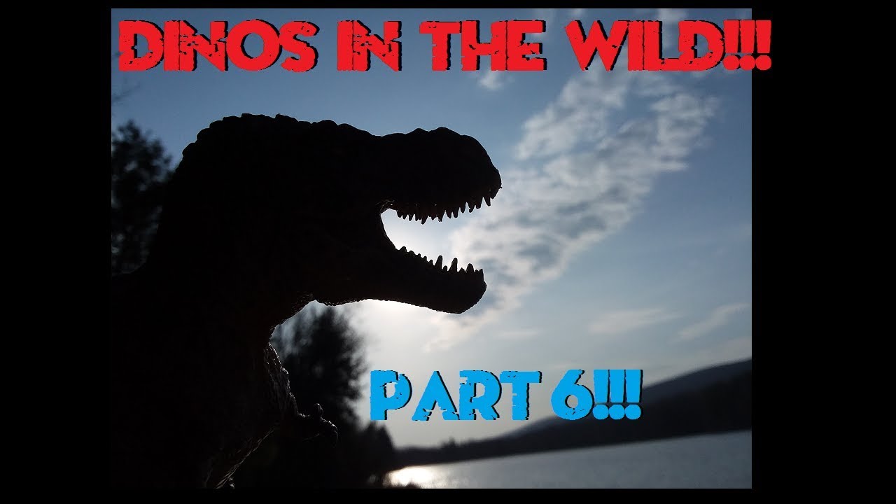Dinos in the Wild Part 6!!! Dinosaur model photography!!! - YouTube