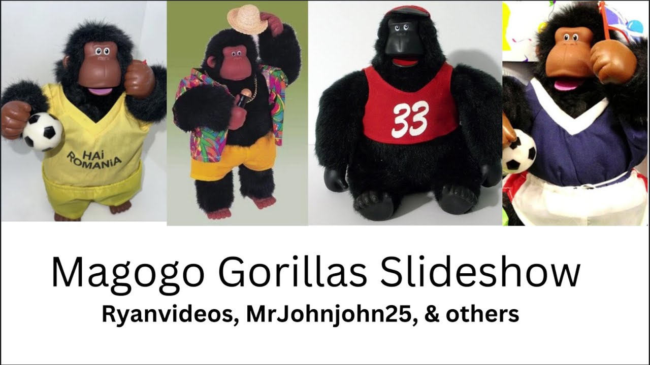 Magogo Gorillas Slideshow - YouTube